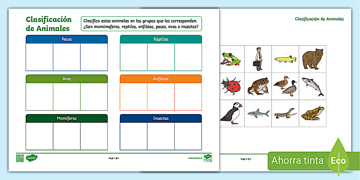 Guía de trabajo: Clasificación de Animales - Twinkl
