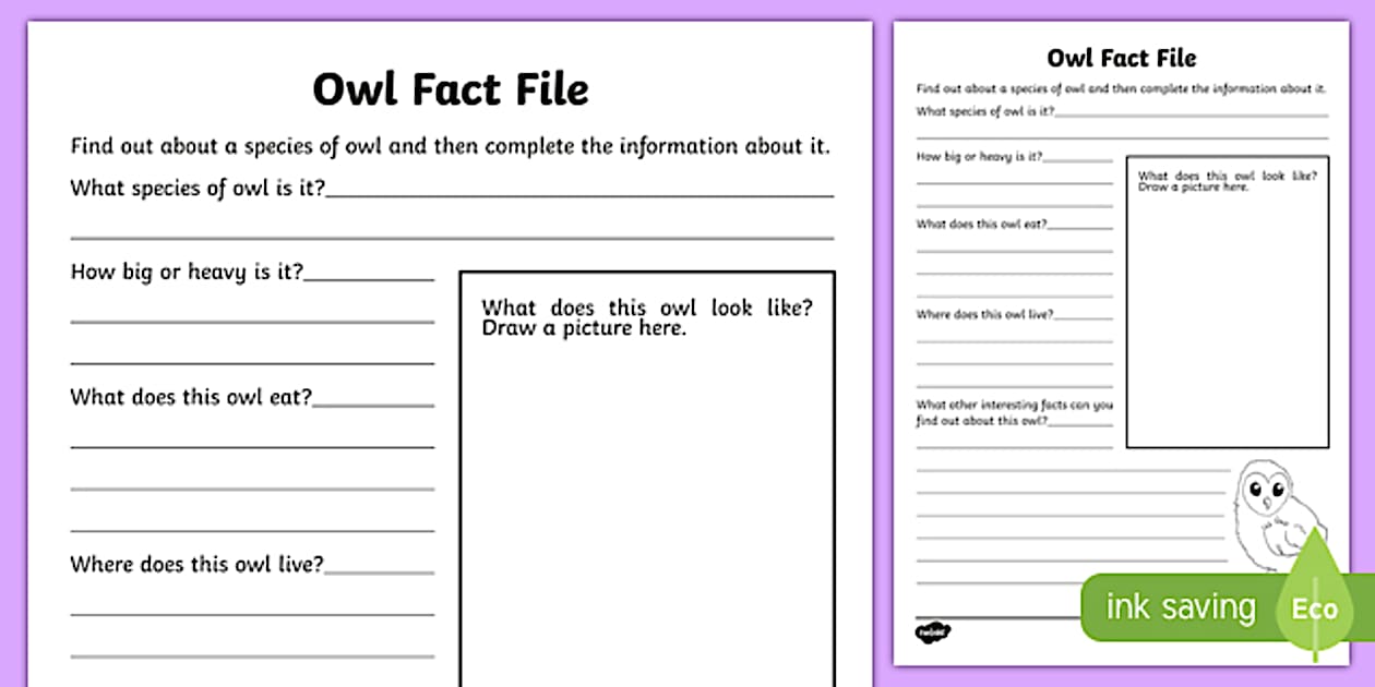 Owl Fact File Worksheet (teacher made) - Twinkl