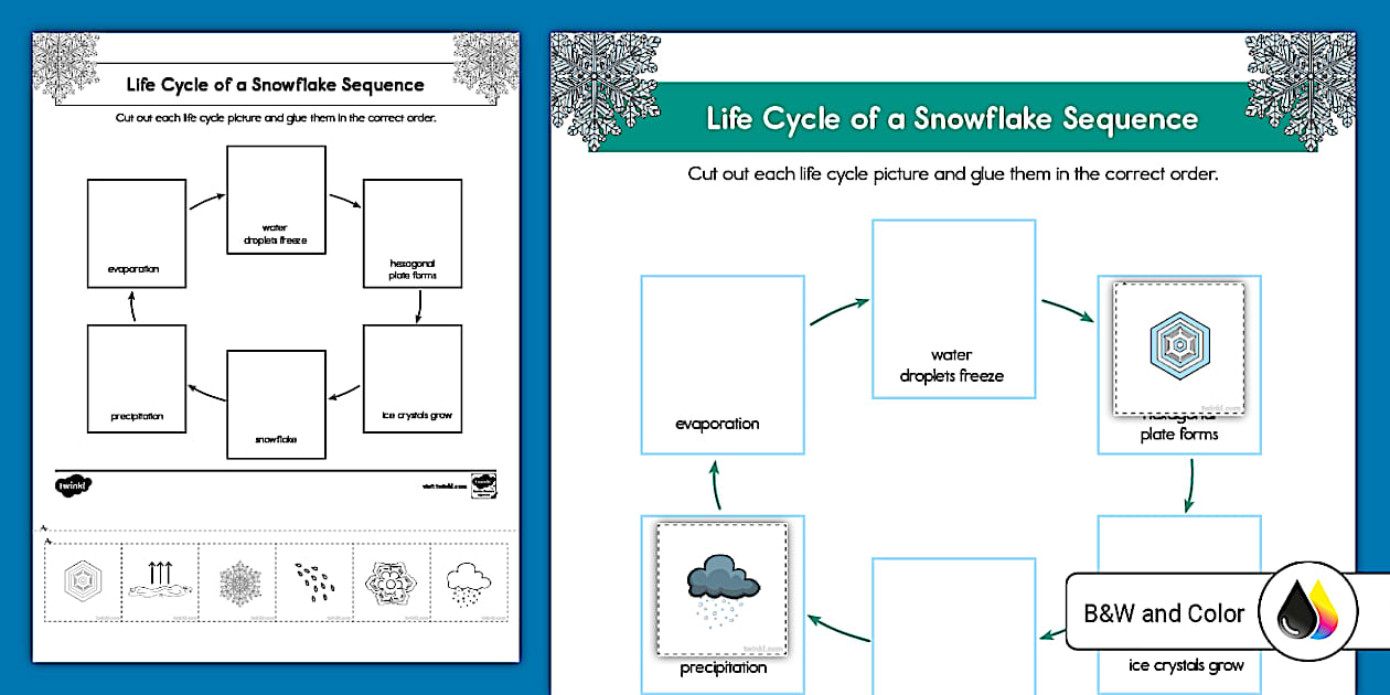 Kindergarten Life Cycle of a Snowflake Sequence Cut and Paste Worksheet