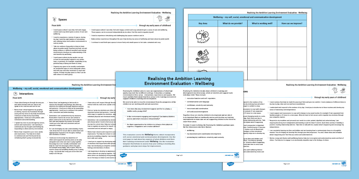 Realising the Ambition Environment Evaluation - Wellbeing