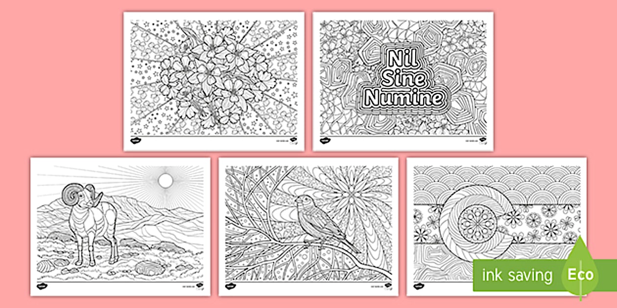 Colorado State Symbols Mindfulness Coloring Sheets - Twinkl