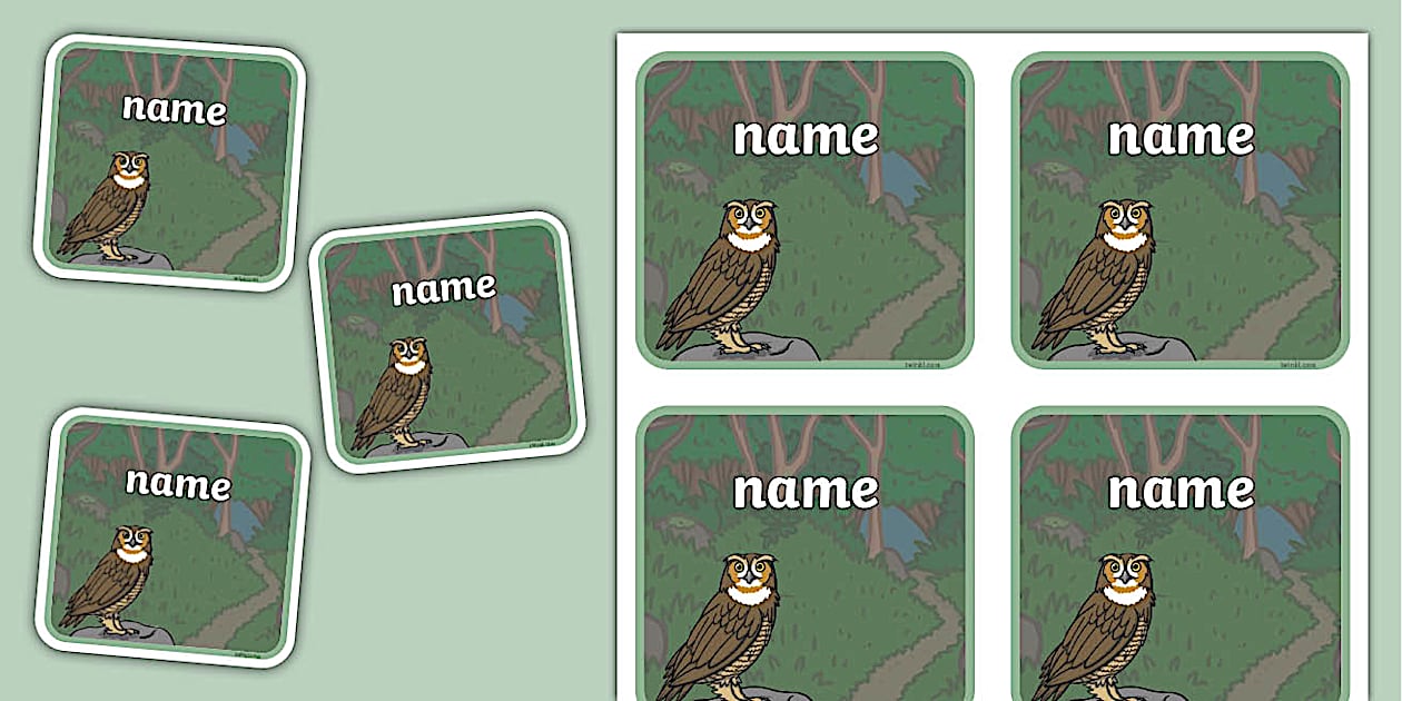 👉 Owl Class Peg Labels - (teacher made) - Twinkl