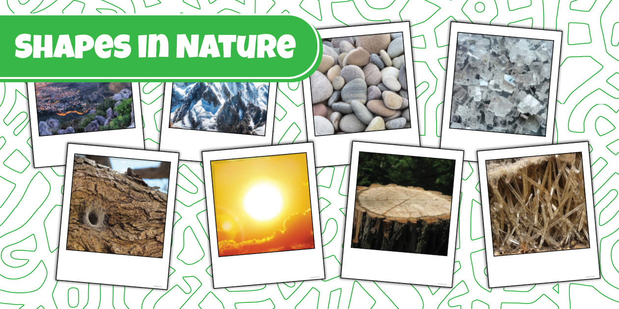 Shapes in Nature - Instant Photo Style Display Images