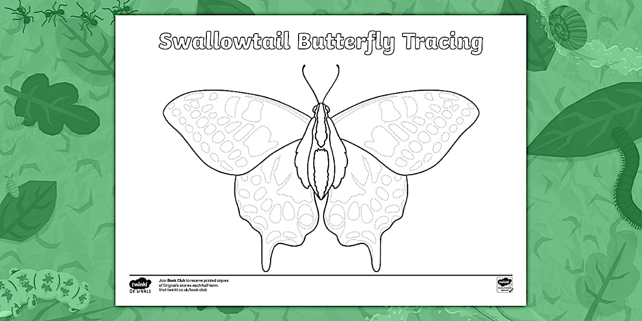 Swallowtail Butterfly Drawing Tracing Activity | Twinkl Kindergarten