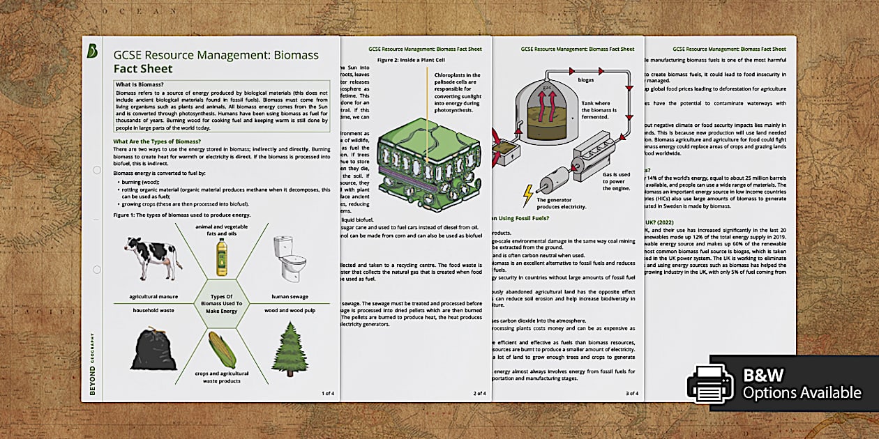 GCSE Resource Management: Biomass Fact Sheet | Beyond