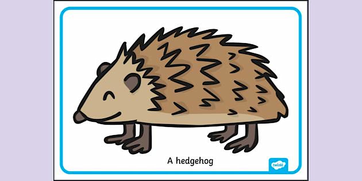 Hedgehog Display Poster | Primary Resources (teacher made)