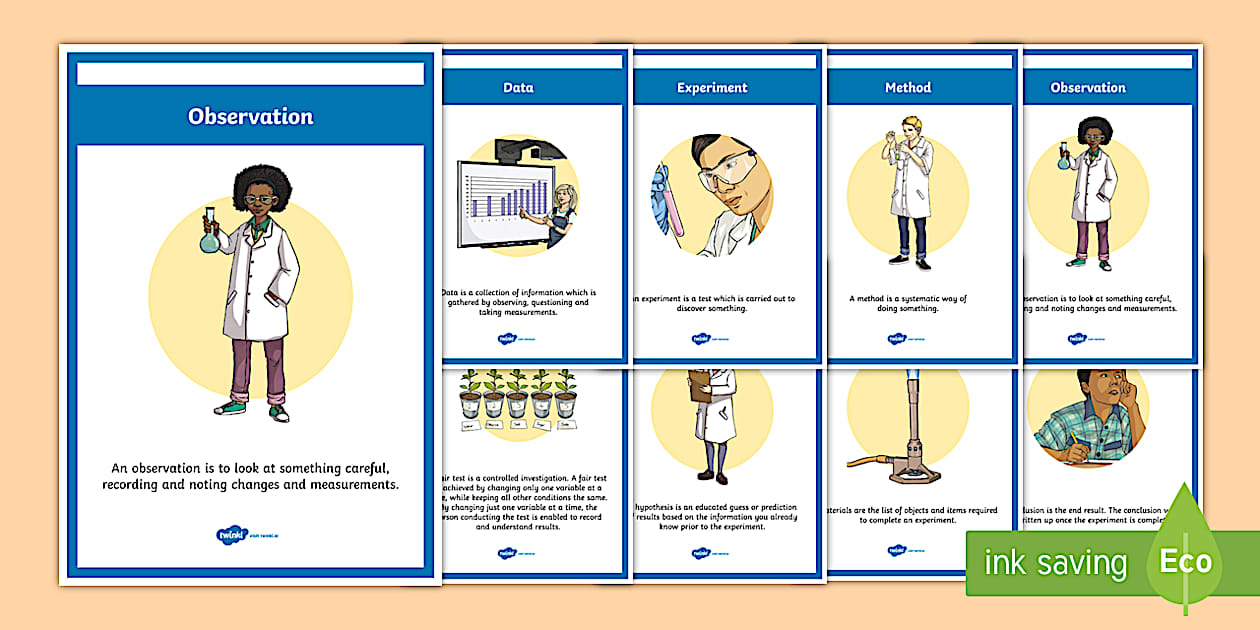 Science Experiment Terms Display Posters (teacher made)