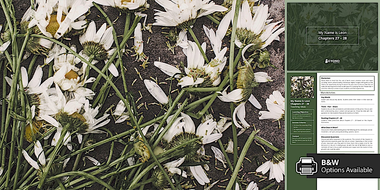 My Name is Leon Lesson 10 Chapters 27 - 28 (Teacher-Made)