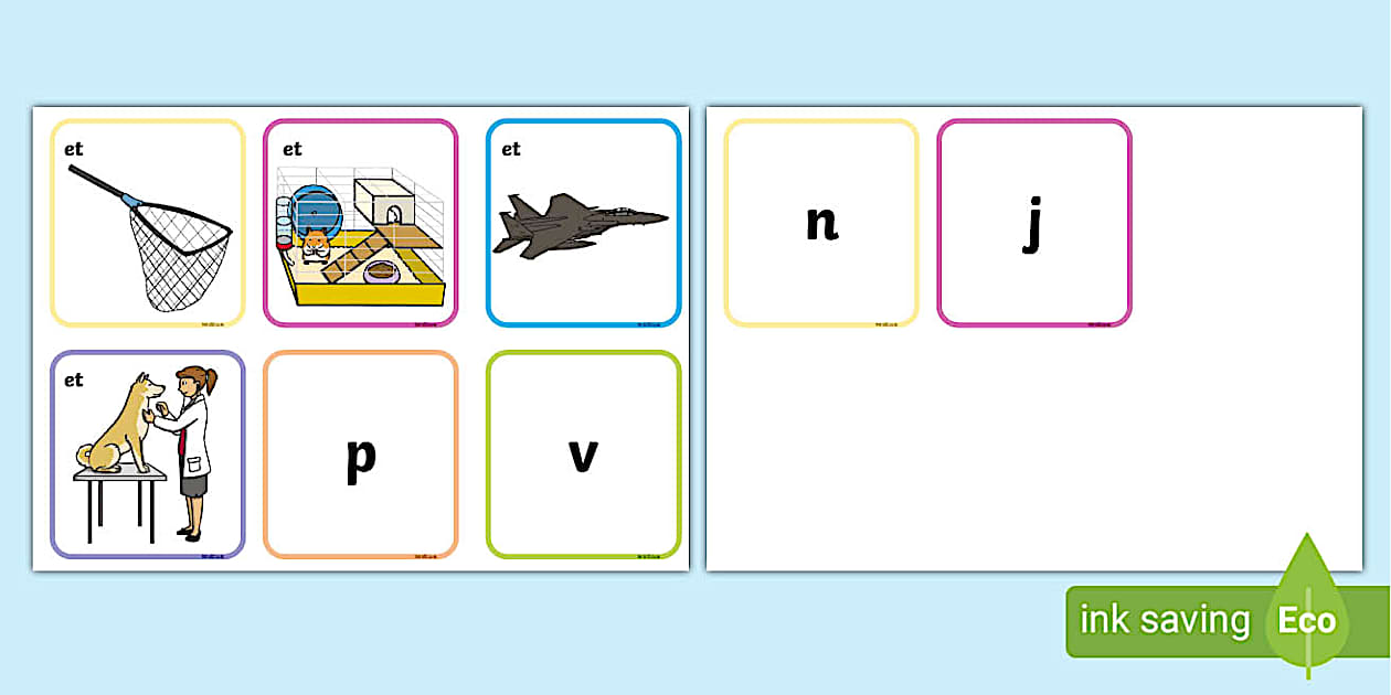 Words and Picture Matching DS Template (teacher made)