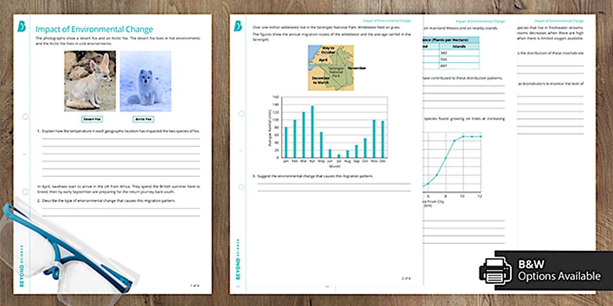 Impact of Environmental Change Worksheet | GCSE | Beyond