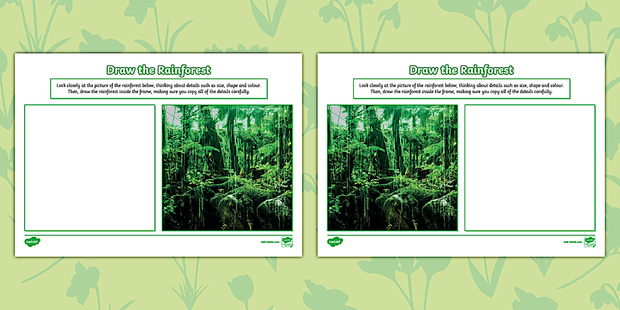 Draw the Rainforest Worksheet (teacher made) - Twinkl