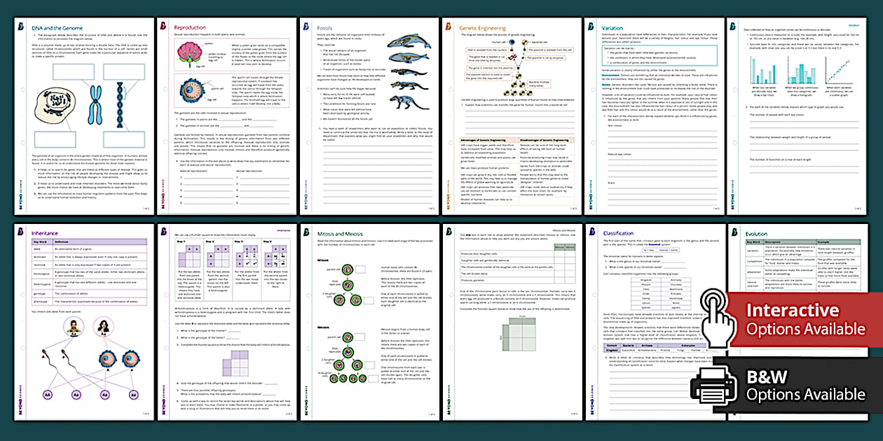 GCSE Inheritance, Variation and Evolution Worksheets | Beyond