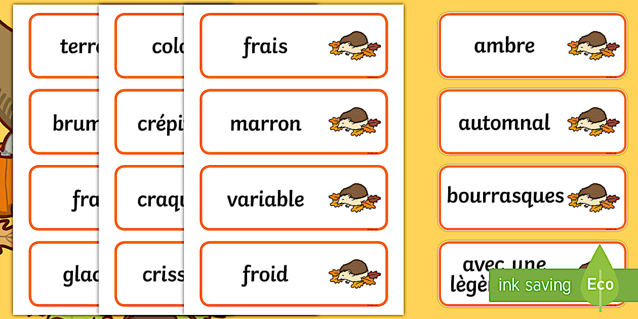 Cartes de vocabulaire sur l'automne (teacher made) - Twinkl