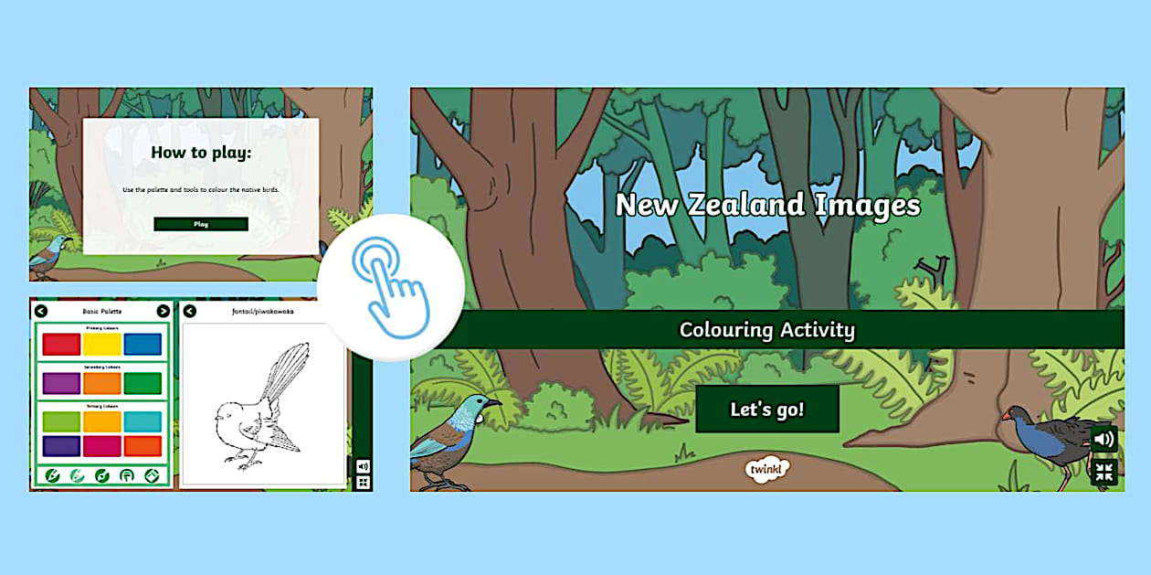 New Zealand Birds Interactive Colouring Activity