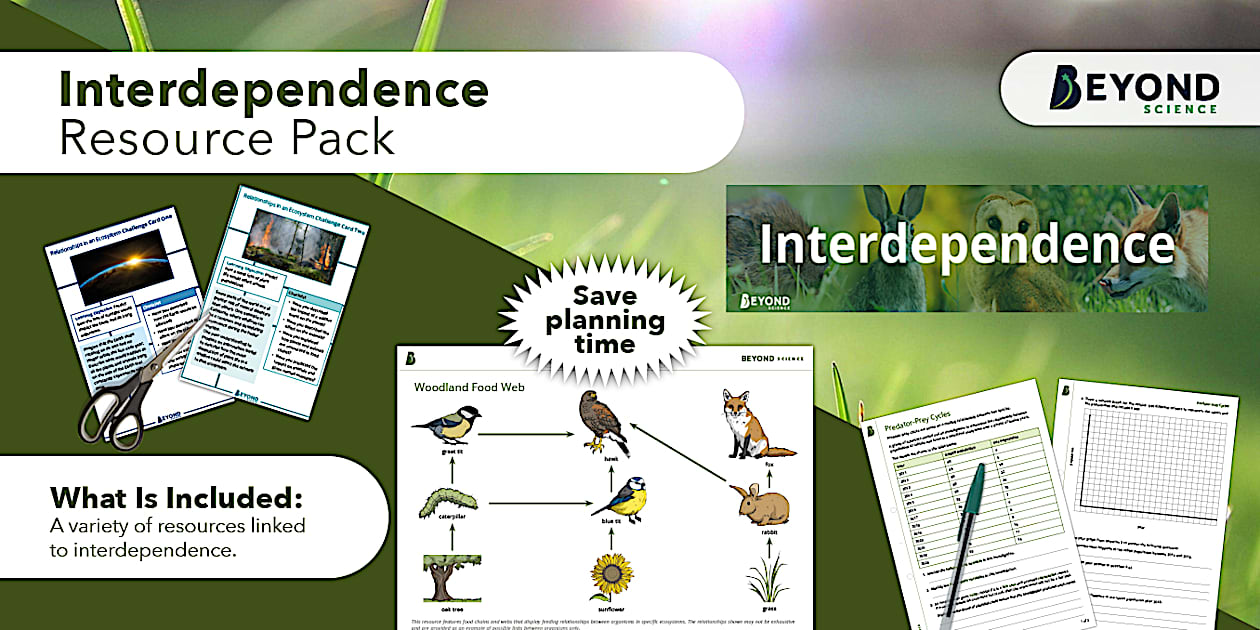 Interdependence Activity Pack | Biology | Beyond Science