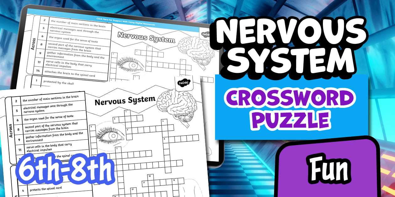Nervous System Crossword Puzzle for 6th-8th Grade - Twinkl