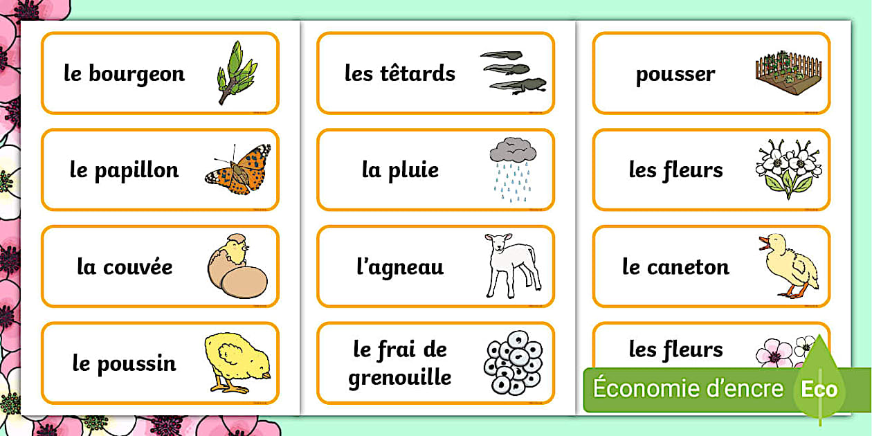 Cartes de vocabulaire du printemps (teacher made) - Twinkl