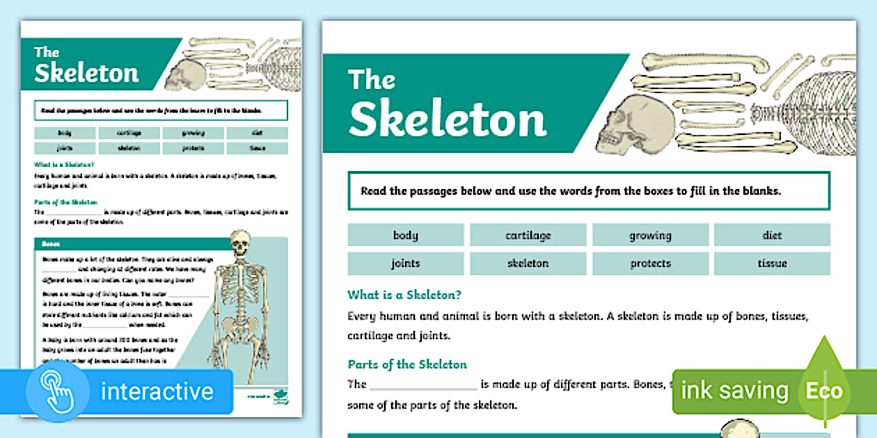The Skeleton Cloze Procedure - Twinkl
