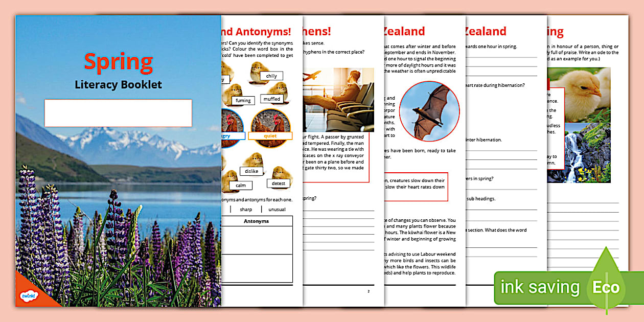 Level 4 Spring Literacy Activity Booklet - Twinkl