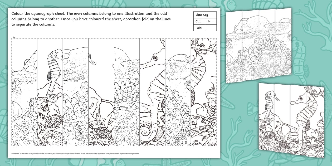 * NEW * Coral Reef Agamograph (Lehrer gemacht) - Twinkl