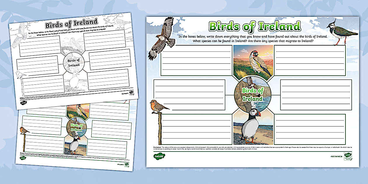 Birds of Ireland Mind Map