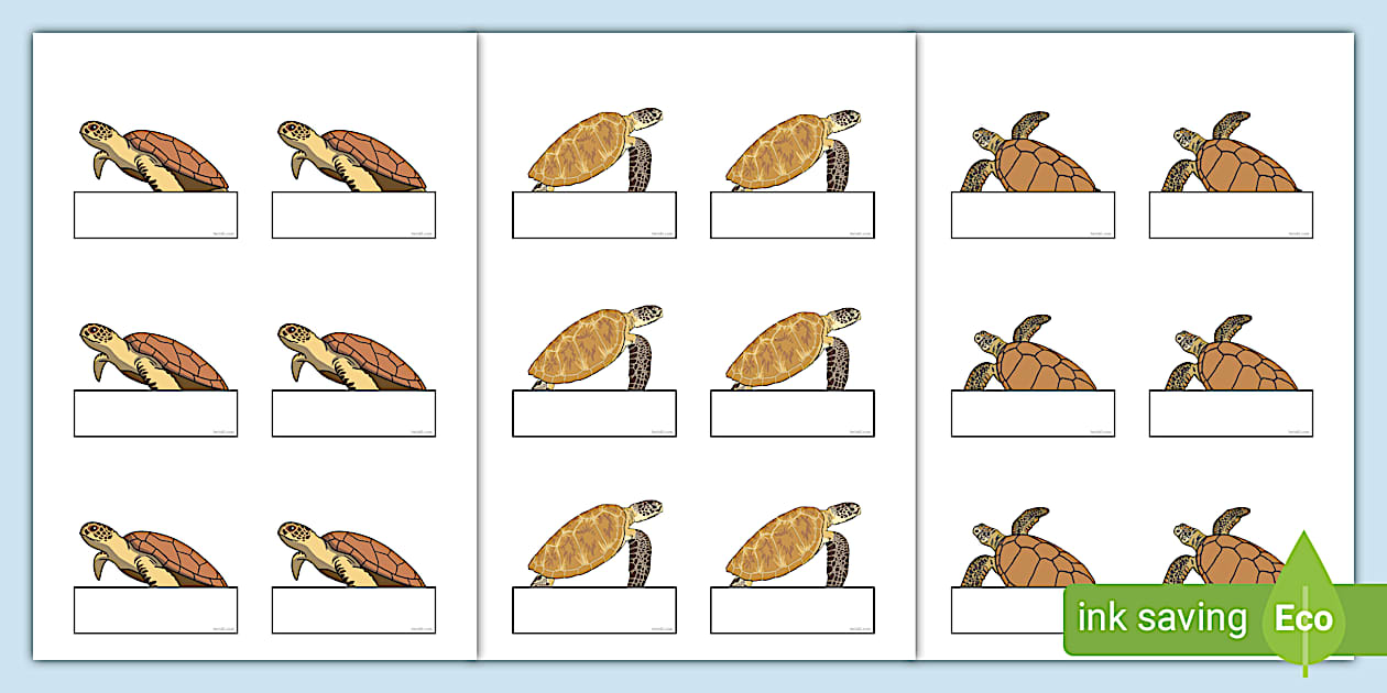 Editable Turtle Self-Registration Labels - Twinkl