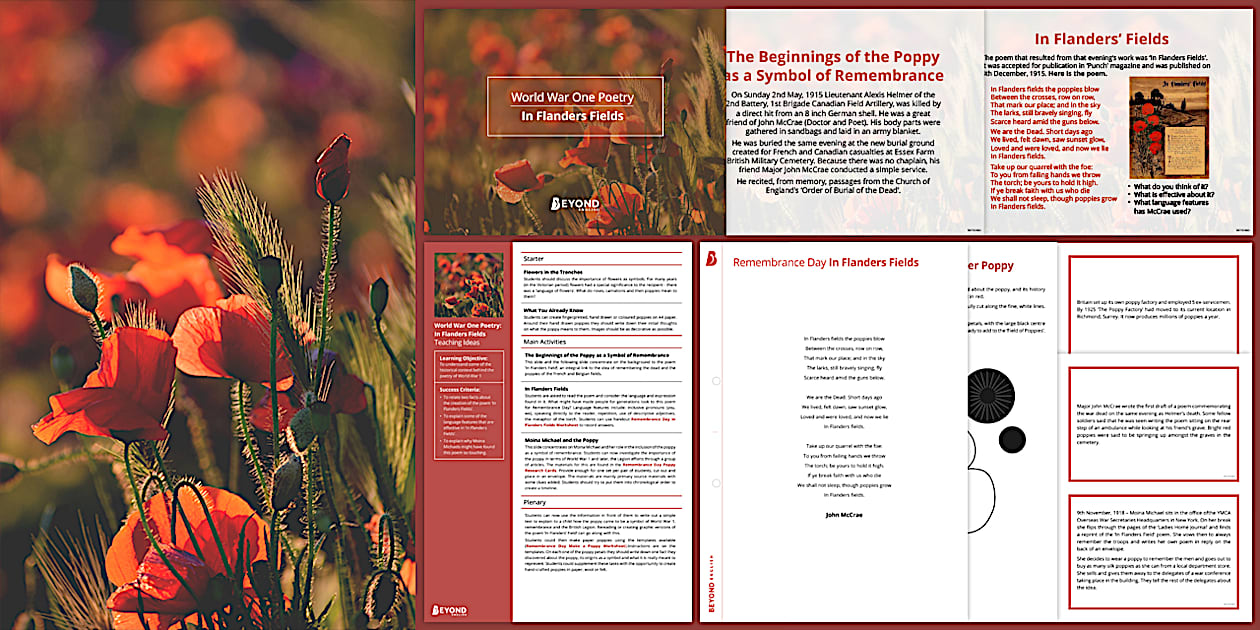 World War One Poetry: In Flanders Fields | Beyond Secondary