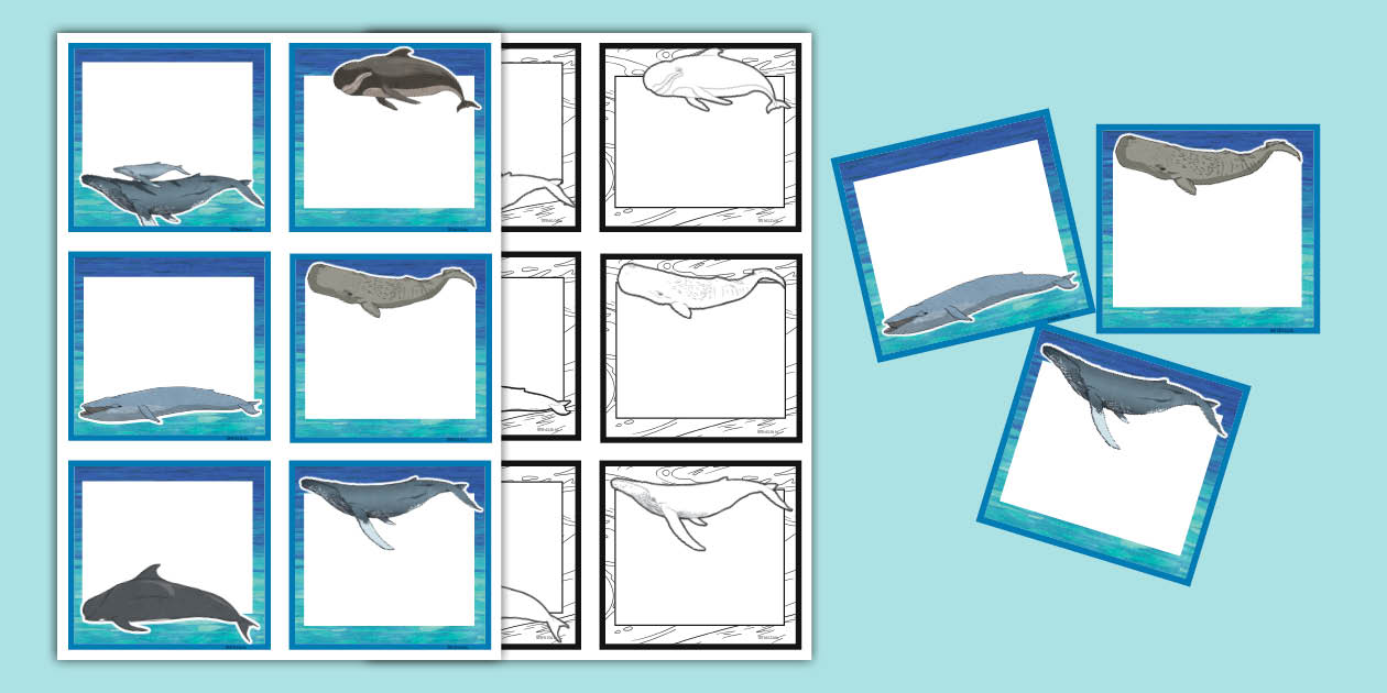 Whale Peg Labels (teacher made) - Twinkl