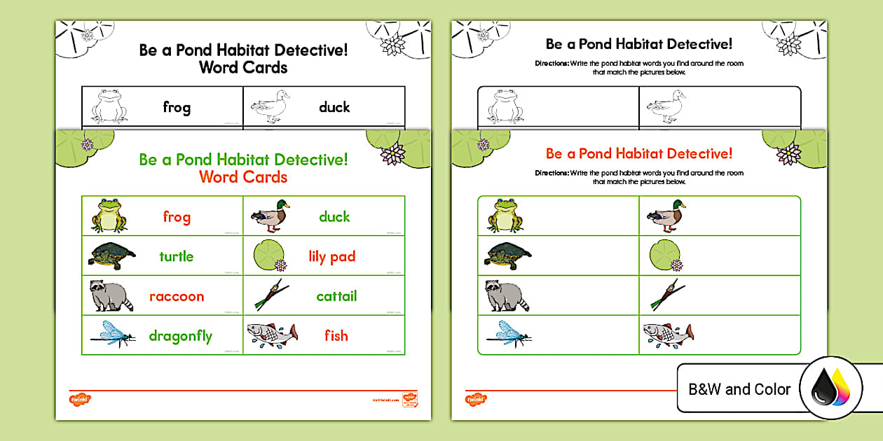 Pond Habitat Read and Write the Room Worksheet - Twinkl