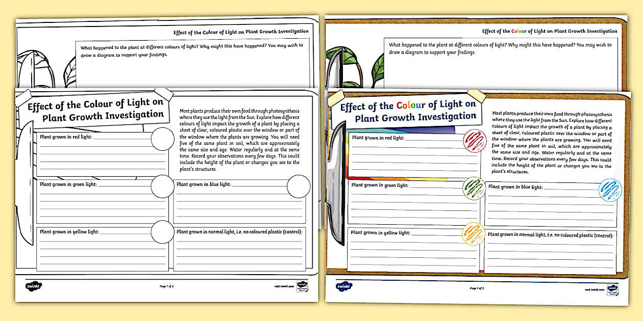 Effect of the Colour of Light on Plant Growth Investigation Worksheet