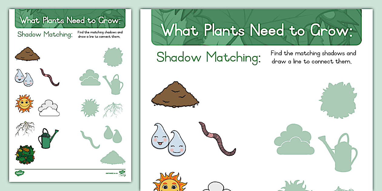 What Plants Need to Grow Shadow Matching (teacher made)