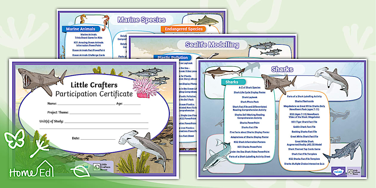 AQA/LCB Shark and Sea Life Project Planning Pack July 2024