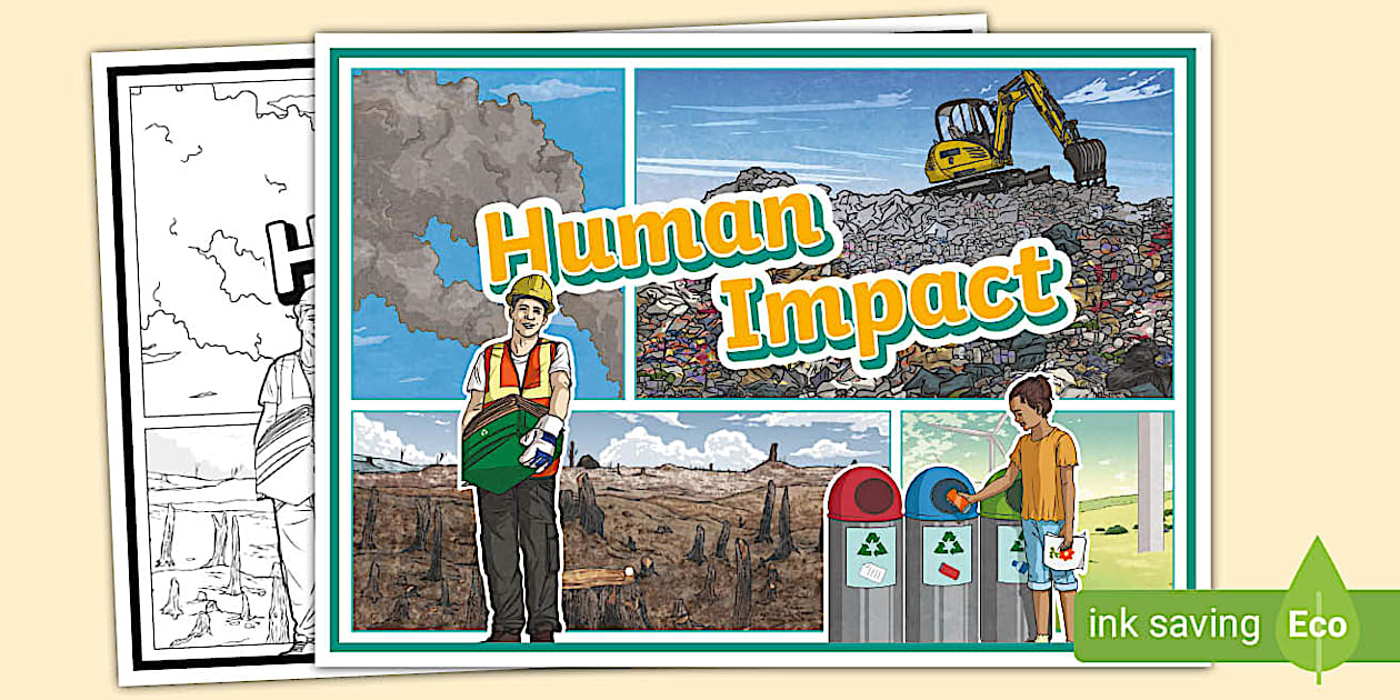 Human Impact Display Poster (Hecho por educadores) - Twinkl