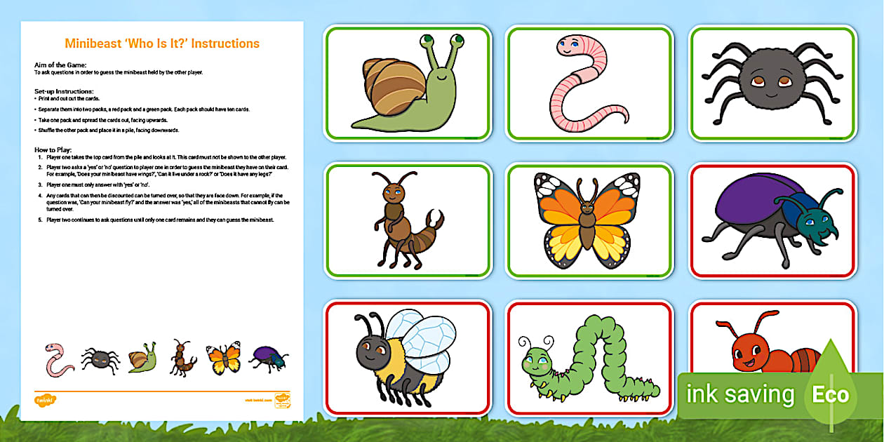 Minibeast Who is it? Game Cards - Twinkl