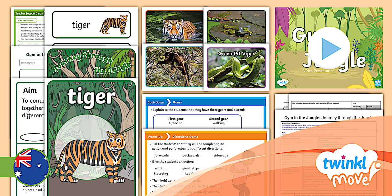 Move PE Foundation Gymnastics: Gym in the Jungle Lesson 6