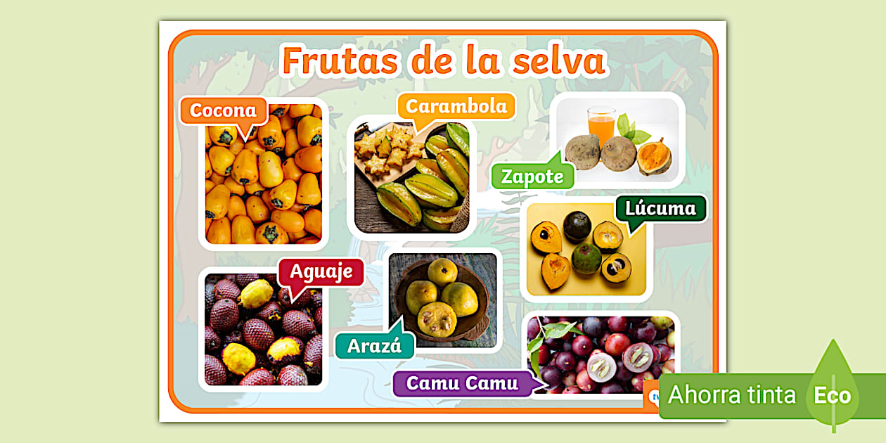 Lámina de las frutas de la selva | Twinkl Perú - Twinkl