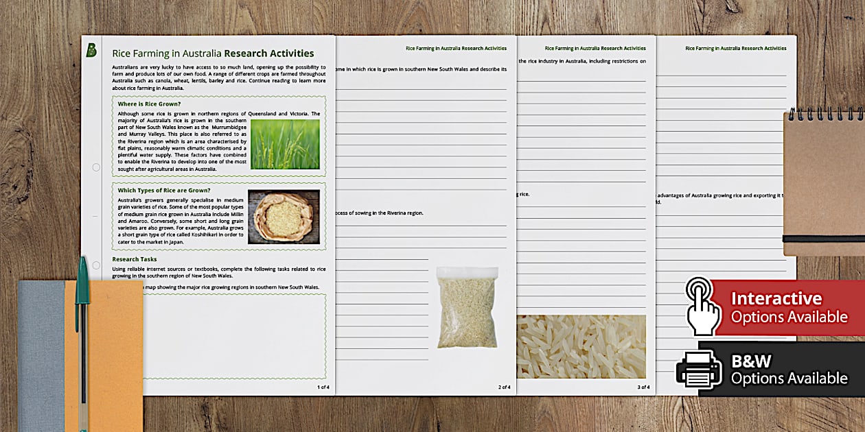 Rice Farming in Australia Activities (teacher made) - Twinkl