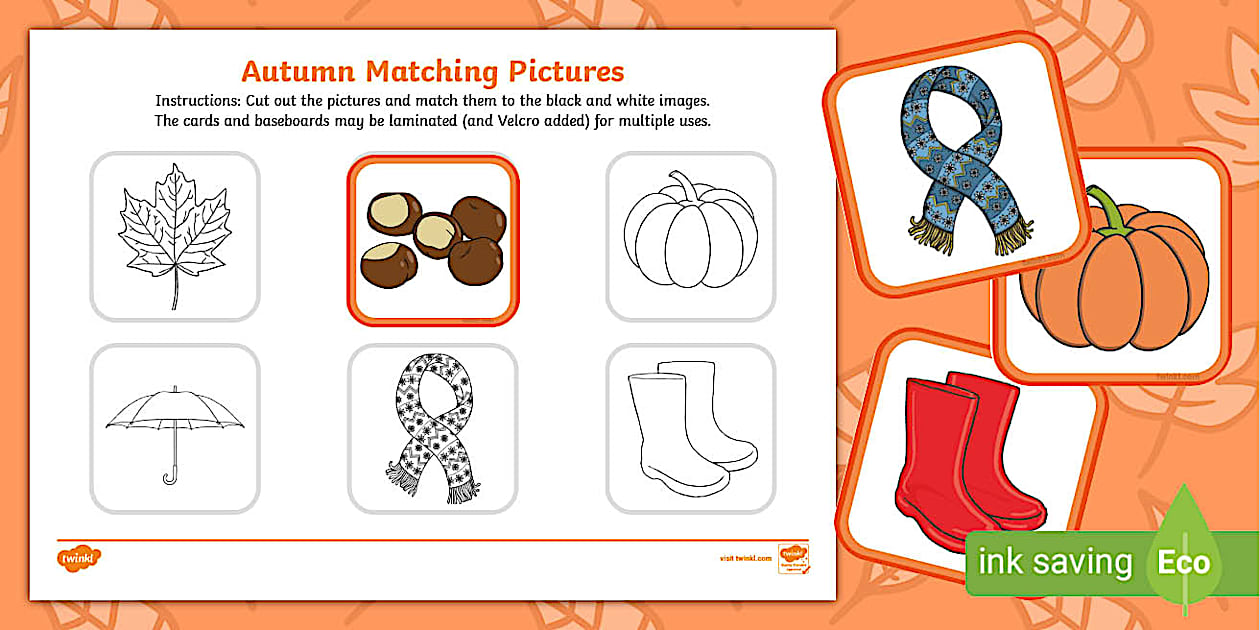 SEND Autumn Picture Matching (teacher made) - Twinkl