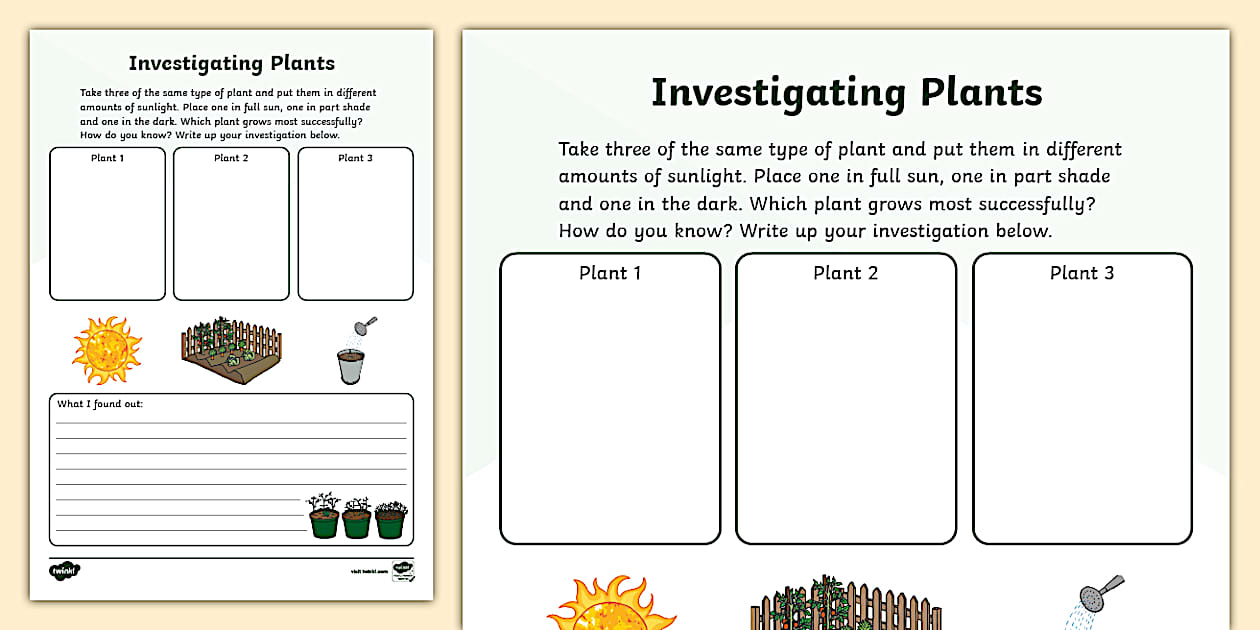 Plants Investigations Worksheet (Teacher-Made) - Twinkl