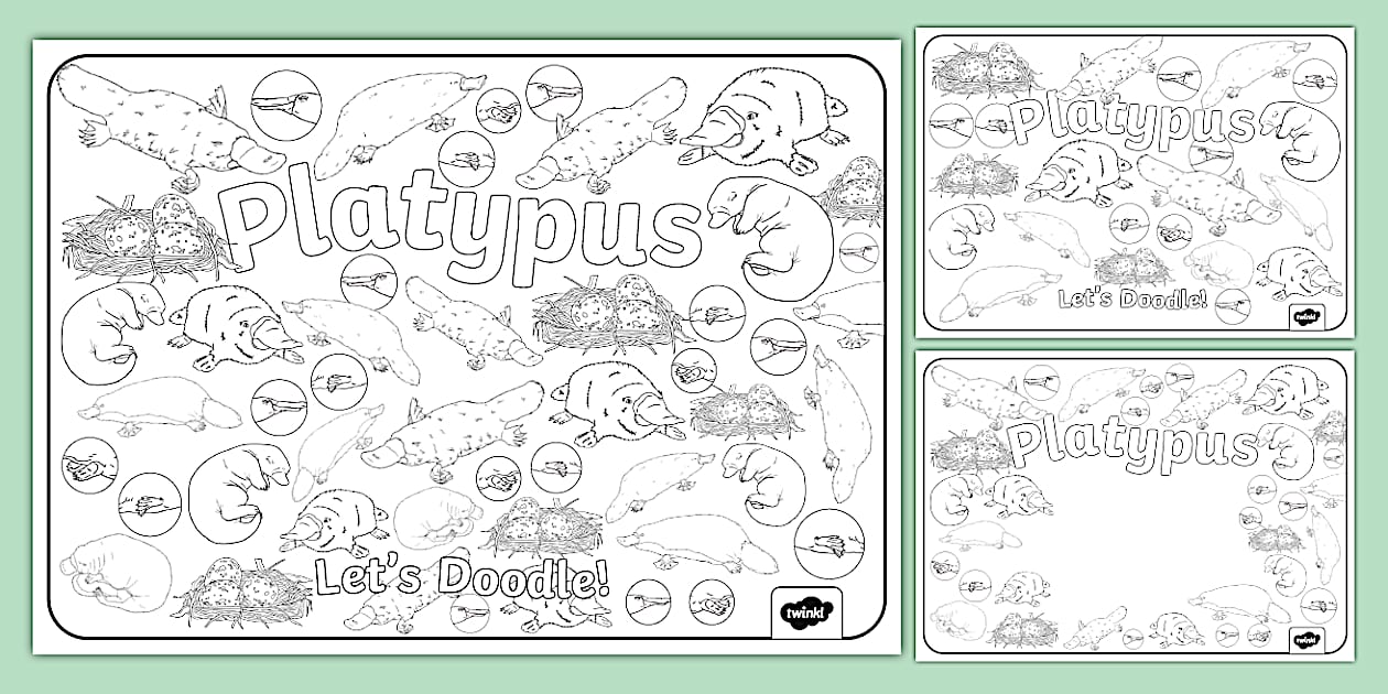 Platypus Doodle Colouring Pages (teacher made) - Twinkl