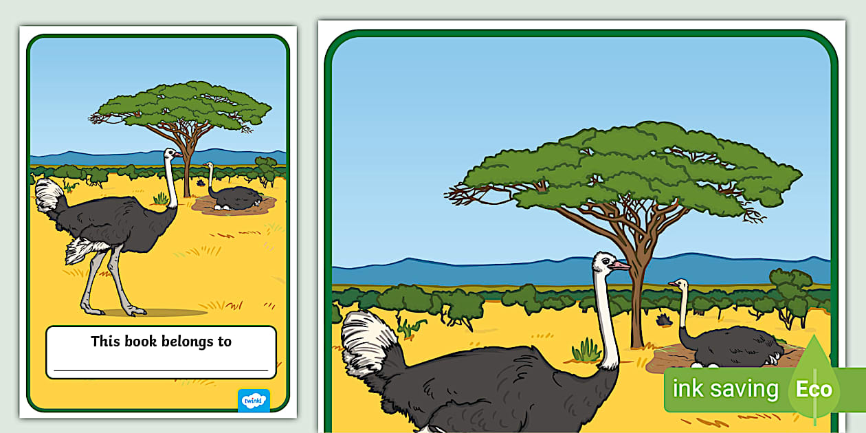 Free Colourful Ostrich Themed Book Cover for Kids: Download!