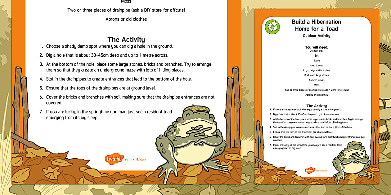 Build a Hibernation Home for a Toad Outdoor Activity