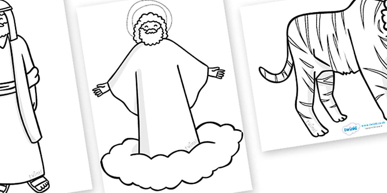 Noah's Ark Story Coloring Sheets (teacher made) - Twinkl