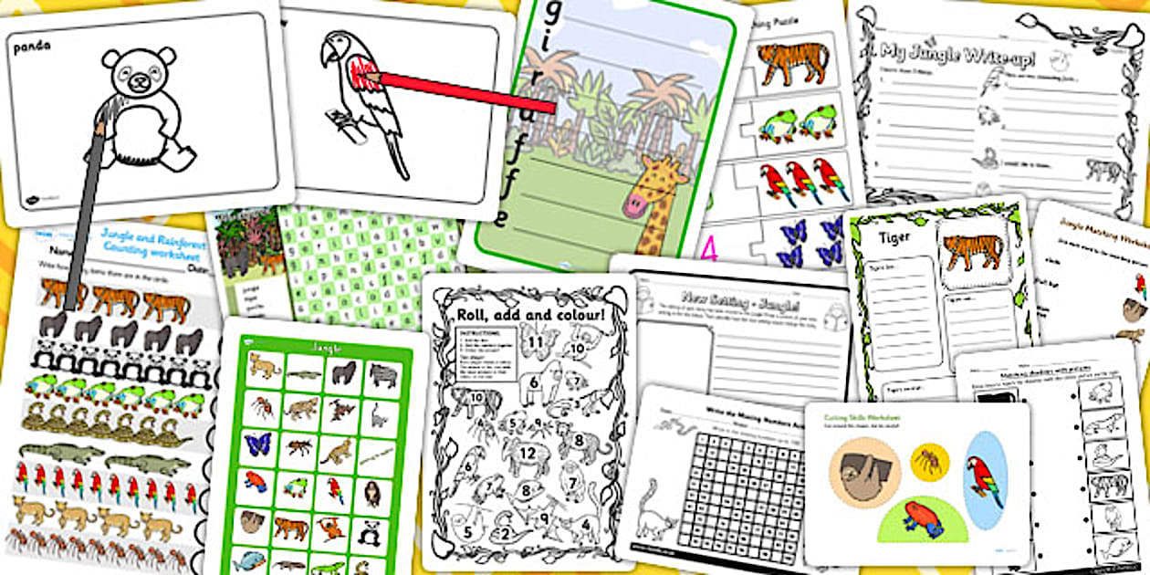 Jungle Activity Pack (teacher made) - Twinkl