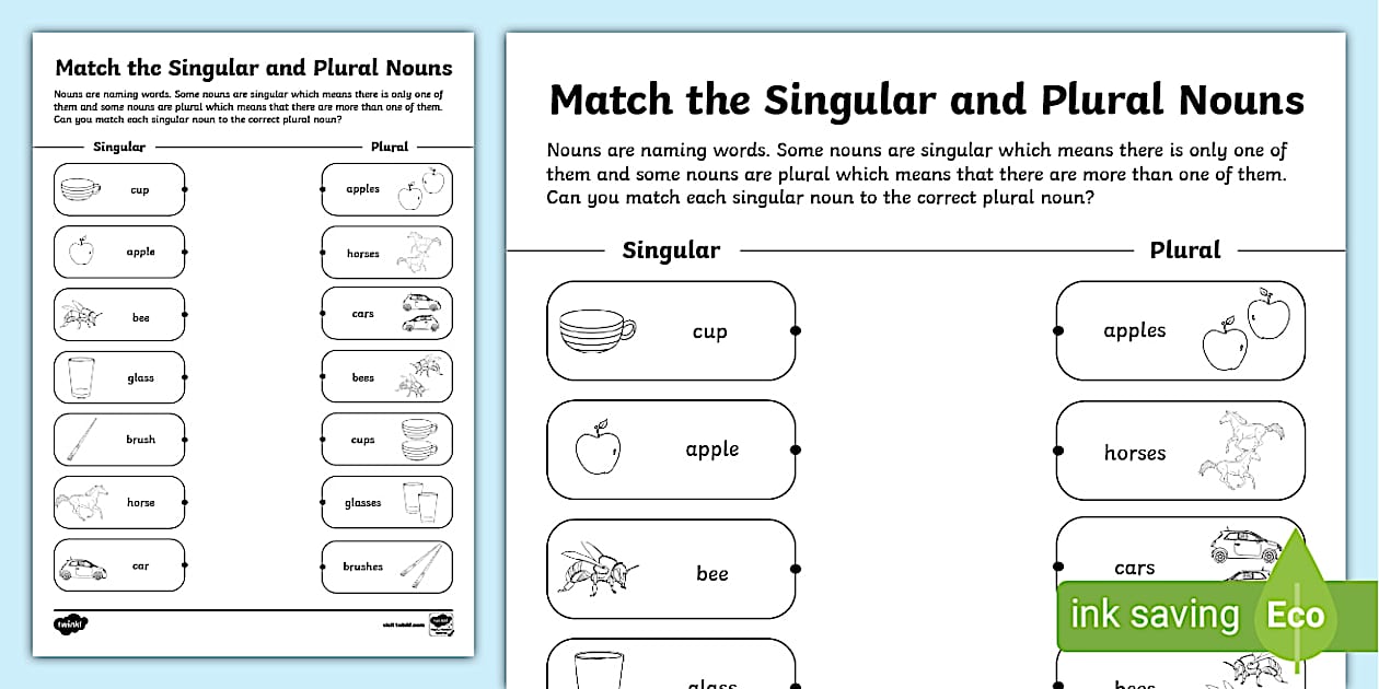 Singular and Plural Matching Activity - Twinkl