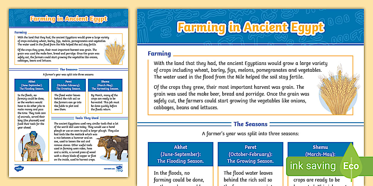 The Ancient Egyptians Farming Information Print Out - Twinkl