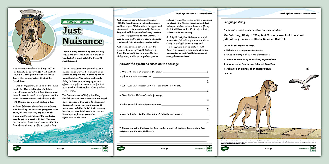 South African Stories: Just Nuisance (teacher made) - Twinkl