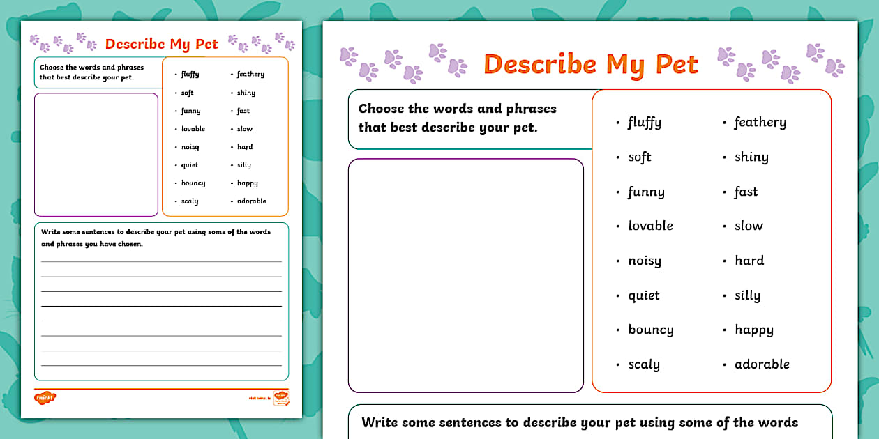 Describe My Pet Worksheet (Hecho por educadores) - Twinkl
