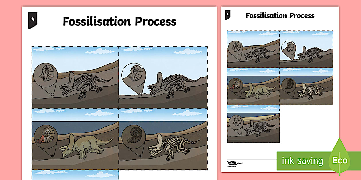 Fossilisation Process Year 3 Cards Resource (teacher made)