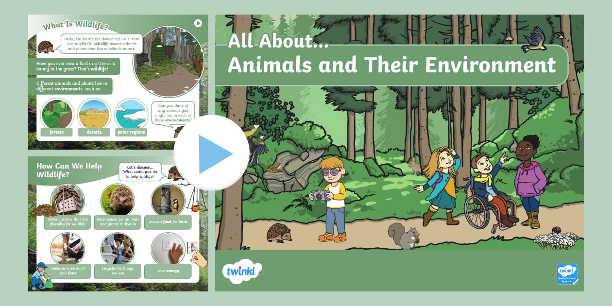 All About Animals and Their Environment PowerPoint | Twinkl